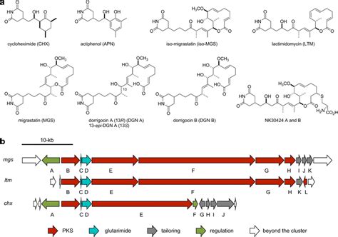 A Structures Of Selected Members Of The Glutarimide Containing Download Scientific Diagram