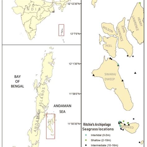 a illustration of line intercept transect survey method b image