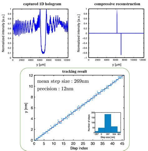 Digital Holographic Imaging Tian Lab
