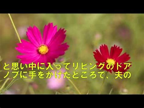 クリトリスがかなり大きくビラビラもドス紫色で嫁の 倍ぐらいデカいグロマンです YouTube