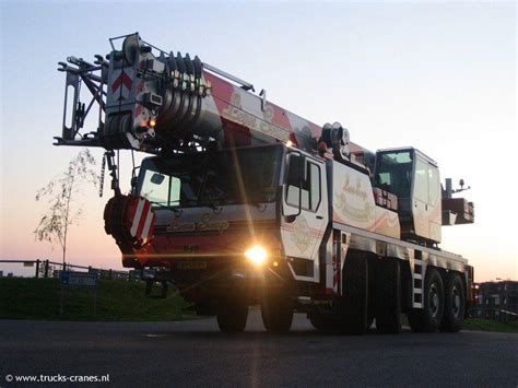 Crane Wallpapers Wallpaper Cave