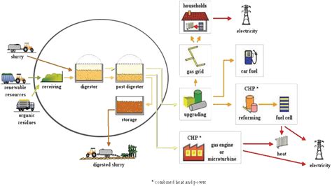 Energy Cassava Development Authority