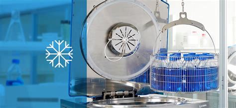 The F0 Sterilization Cycle In Autoclaves Raypa