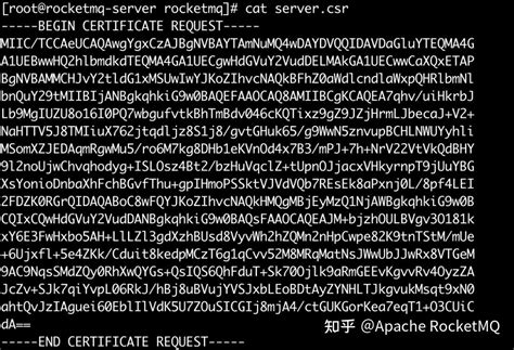 rocketmq 5 0 如何配置tls加密传输？ 知乎