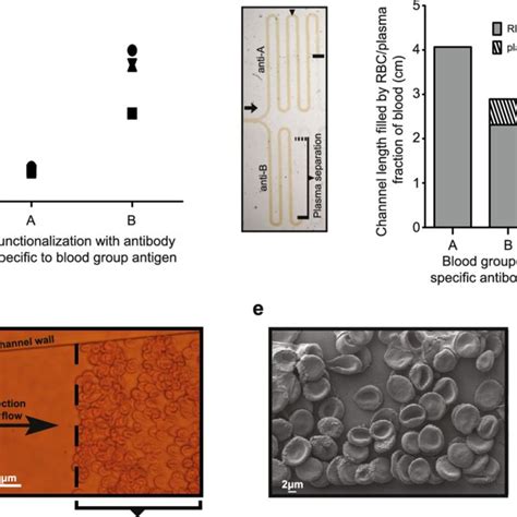 Rbc Retardation And Plasma Separation A Graph Shows The Time That Download Scientific