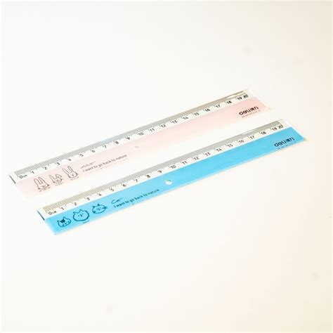 Kawaii Cute Ruler Etsy