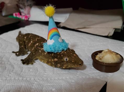 Lizard Birthday Memes 2 Birthday Ai Generated Card A Bearded Dragon