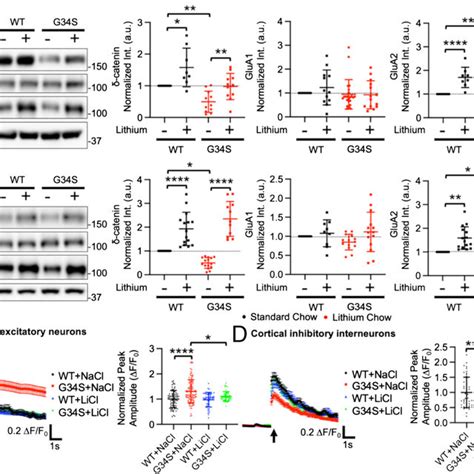Lithium Treatment Reverses A Significant Reduction Of Synaptic