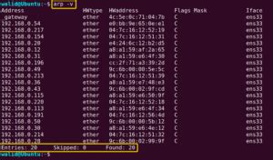 The Arp Command In Linux Practical Examples