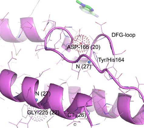 C Terminal Domain Superposition Illustrates Conservation Of Both Main Download Scientific