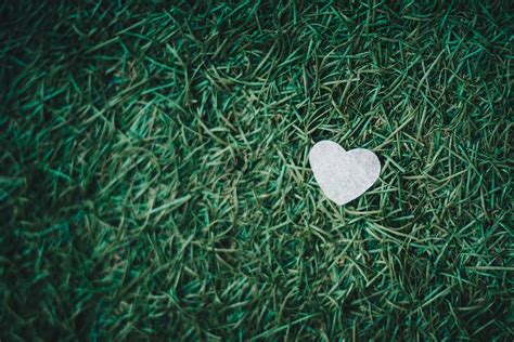 Creating An Animated Wishlist Component For Vue Storefront By Javier The Vue Storefront