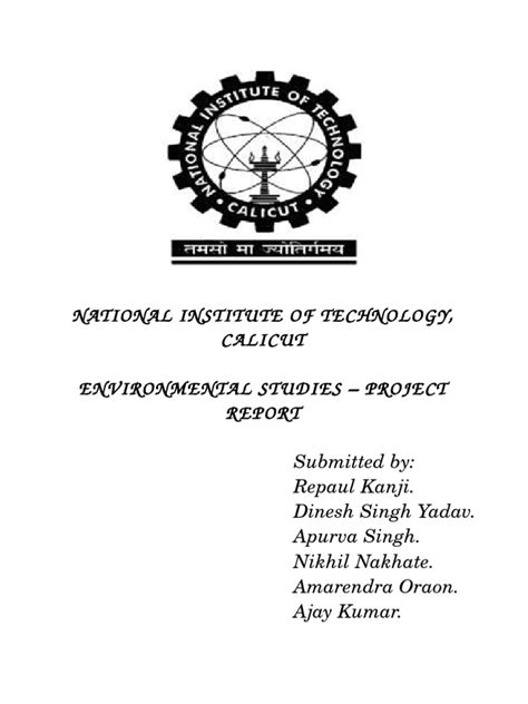 Evs Report Pdf Smog Air Pollution