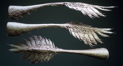 Tails 33 Tail Meshes And Curve Brushes 3d Model Cgtrader