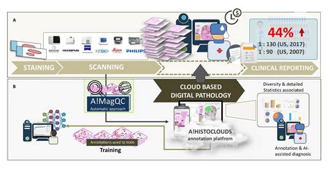 Michal Blaho On Linkedin Improving Deep Learningassisted Pathology With Matlab