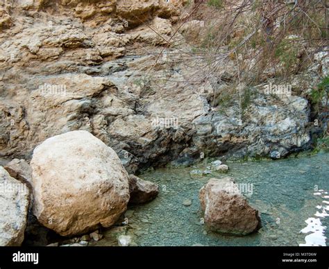 Nature In The Wadi Bokek Reserve Of The Judean Desert In Israel Stock