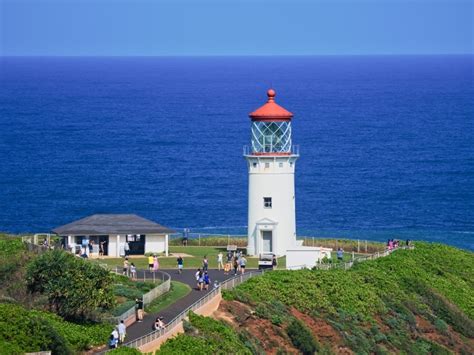 Kilauea Lighthouse Hawaii Travel Guide