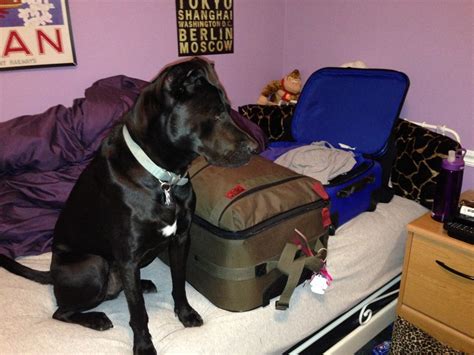 Check Your Baggage