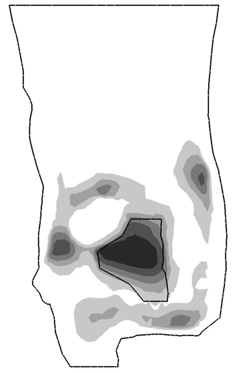 Optimized Temperature Distributions In A Frontal Section Of The Pelvic