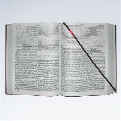 Haydock Bible With Commentary On Holy Scripture Douay Rheims