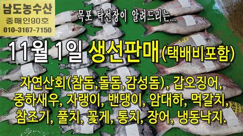 11월 1일판매 생선 자연산회갑오징어 중하새우 자랭이 밴댕이 암대하 먹갈치 참조기 풀치 꽃게 통치 장어 목포 남도농수산 탁선장 010 3167