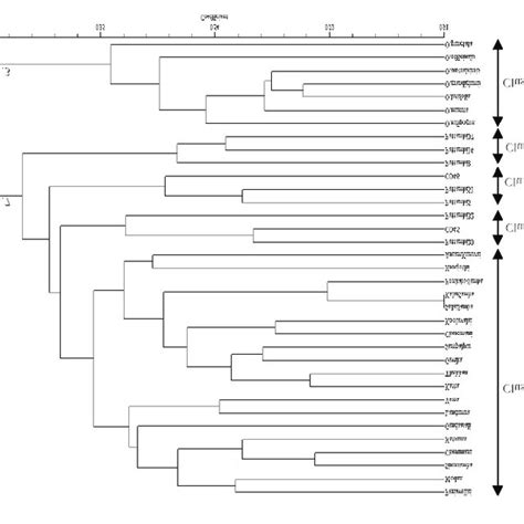 Dendrogram Resulting From Upgma Cluster Analysis Of 35 Rice Genotypes Download Scientific