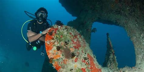 Maldive Victory Wreck From Maritime Tragedy To Diving Treasure