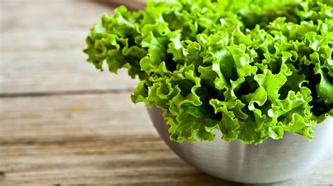 Lettuce Wallpapers Top Free Lettuce Backgrounds Wallpaperaccess