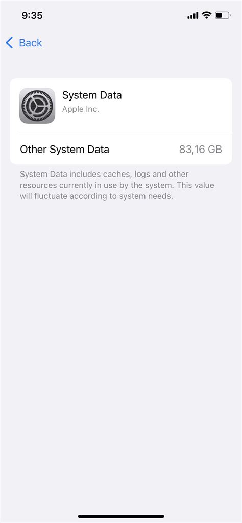 I Dont Know When Apple Gonna Fix Those Storage Bugs This Keeps Growing
