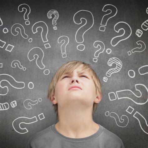Metacognition And Executive Function