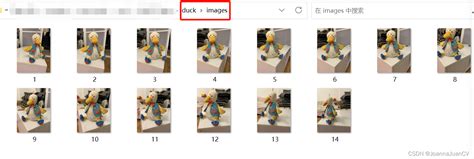 使用colmap与llff格式转换训练nerf csdn博客