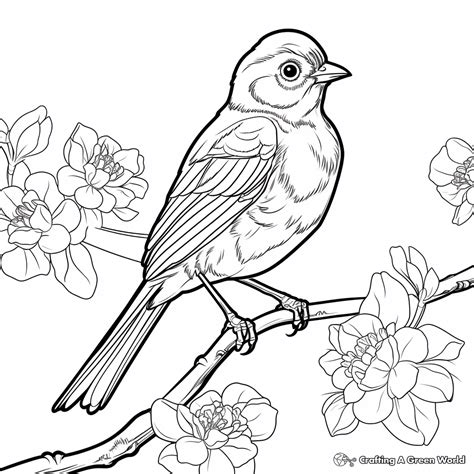 Robin Coloring Pages Free And Printable