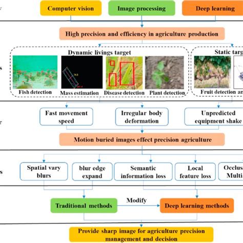 Computer Vision And Motion Deblurring Technology Application Download Scientific Diagram