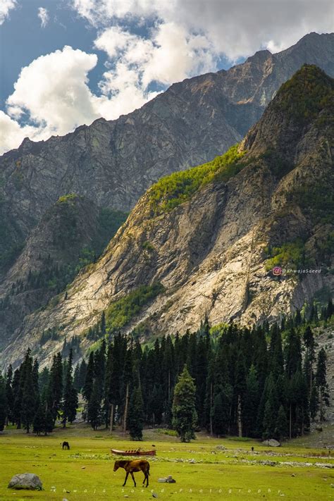 Naveed Amjad Posted On Linkedin