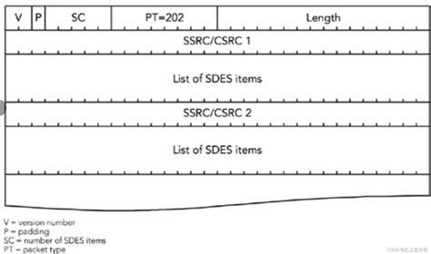 rtcp协议详解（sr、rr、sdes、bye、app、nack、tcc、pli、sli、fir ） csdn博客