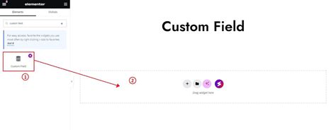 how to use custom field in elementor spexo addons