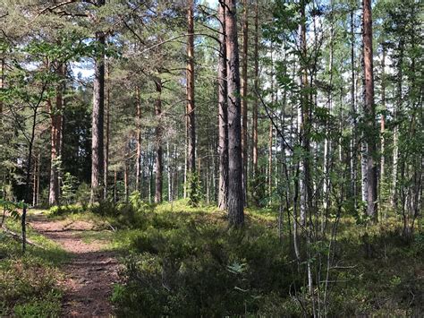 Brunnberg Getberget Arvometsät Kirkkonummi
