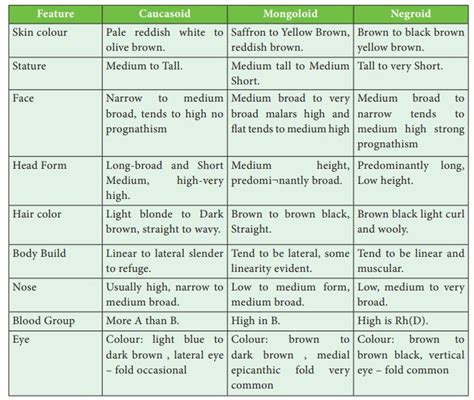 Races Four Broad Groups Characteristic Of Major Races