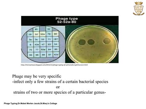 Microbiology Phage Typing Pptx Infectious Diseases Diseases And