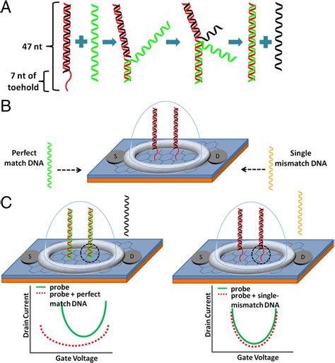 Implantable Rna Seq Blog