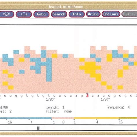 Screen Image Showing The X Windows Interface For Displaying A Sequence Download Scientific