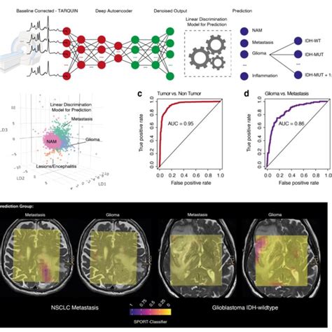 A Workflow Of Our Prediction Model B 3d Map Of Group Prediction Download Scientific