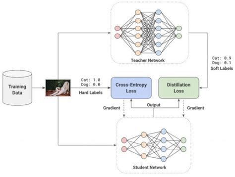 high performance deep learning how to train smaller faster and