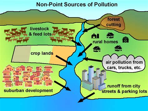 point source pollution diagram
