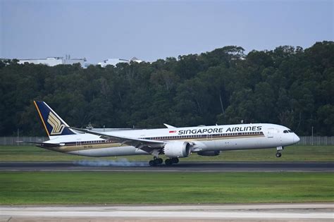 Market Buoyancy Intact Despite Data Driven Turbulence The Straits Times