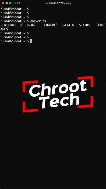 starting mongo db in container coding techworld mongodb shortsfeed shorts viral trending