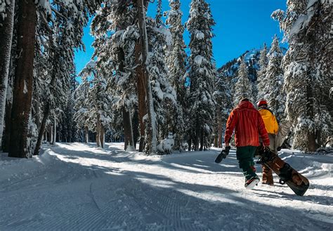 Alta Ski Area And Snowboarding Townlift Park City News