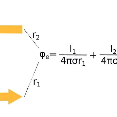 Modeling Intra And Extracellular Dynamics Standard Theory Vs Unified