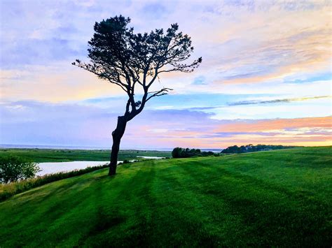 Cotton Candy Cape On Behance