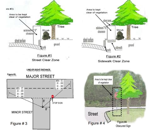 Tree Limb Or Shrub Trimming Oak Ridge Tn