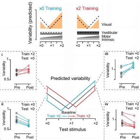 Model Of Multiple Sources Of Eye Movement Variability Download Scientific Diagram